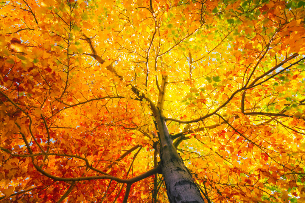 Weekly Offertory Prayer - United Methodist Foundation