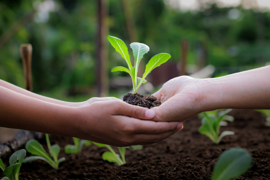 Weekly Offertory Prayer - United Methodist Foundation